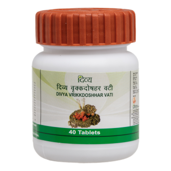 Patanjali Divya SHILAJEET RASAYAN 40 g - Buy Online